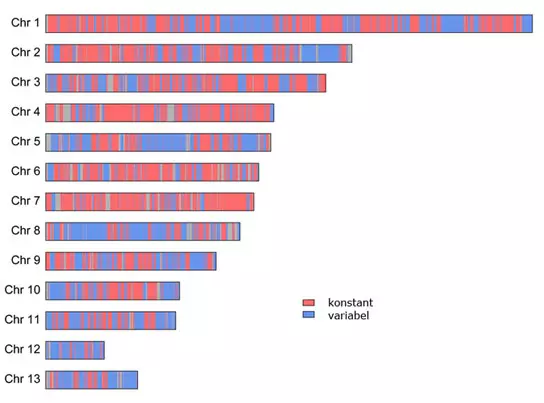 khariidadda genome ee Zymoseptoria pseudotritici.