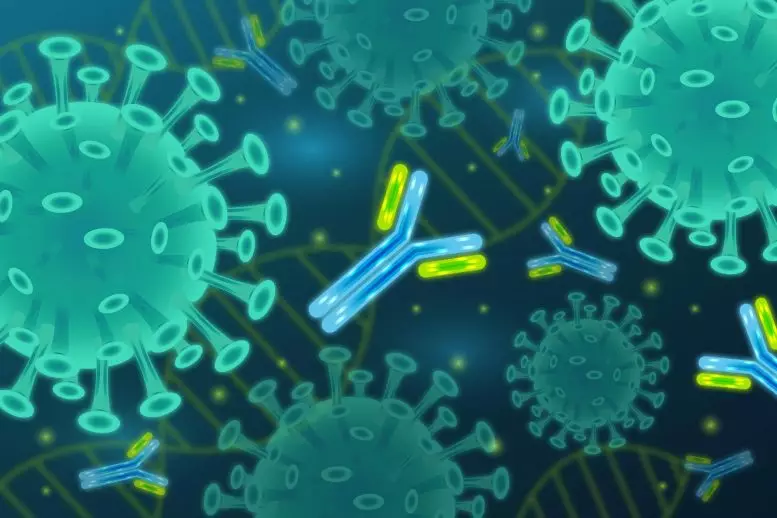 Antibodies nziza Kutabogama Coronavirus mu barwayi ba COVID-19