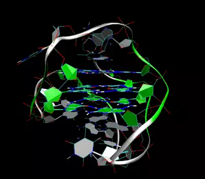 Struktur telomere