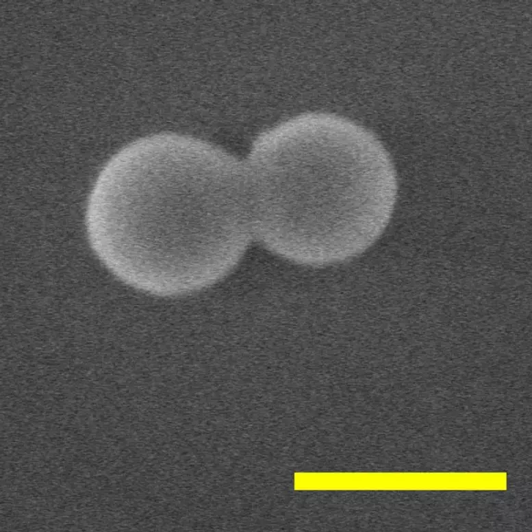 Nanoschaalrotor gemaakt van silica