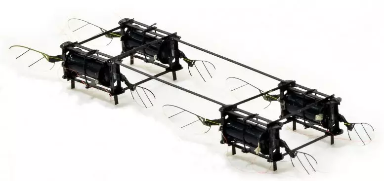 MIT Insect Robots