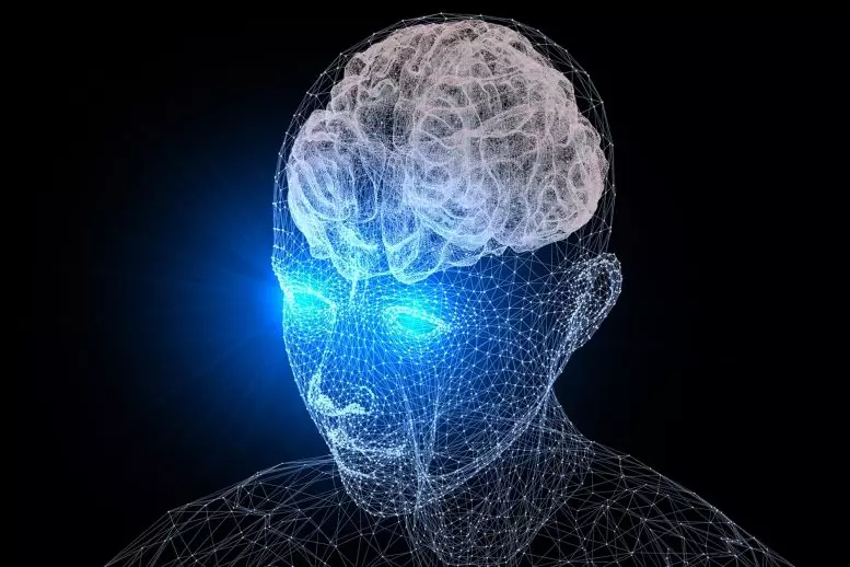 مفهوم بینایی مغز علوم اعصاب