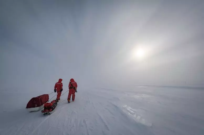 Steven Hartz polarra zaintzen