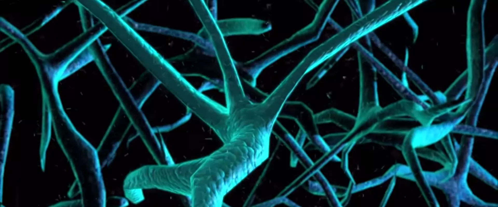 Nieuwe test voor de ziekte van Alzheimer meet direct synaptisch verlies
