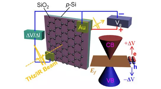 voltage inoiswa pabepa regraphene pane silicon-based substrate inogona kuishandura kuita shutter kune ese ari maviri terahertz uye infrared wavelengths yechiedza.