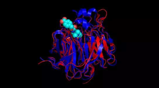 Foldit Players Remodel Katalizatoriaus fermentas Diels-Alder reakcijoms