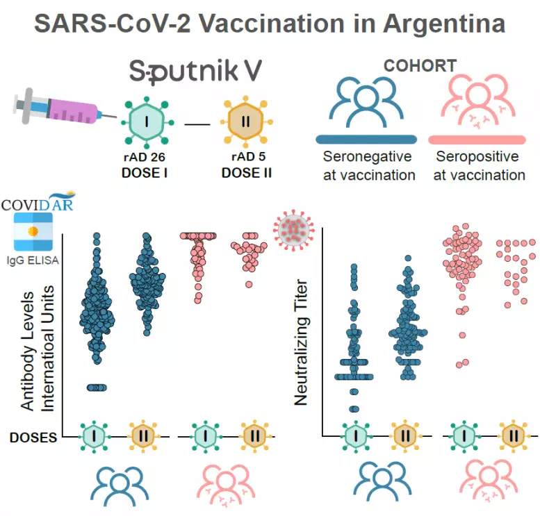Antikorpaj Respondoj al Sputnik V-Vakcino en Argentino