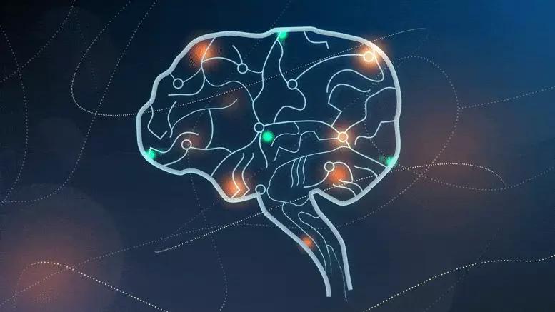 Metode Pemetaan Otak Mencerahkan Target untuk Mengobati Depresi dan Penyakit Parkinson