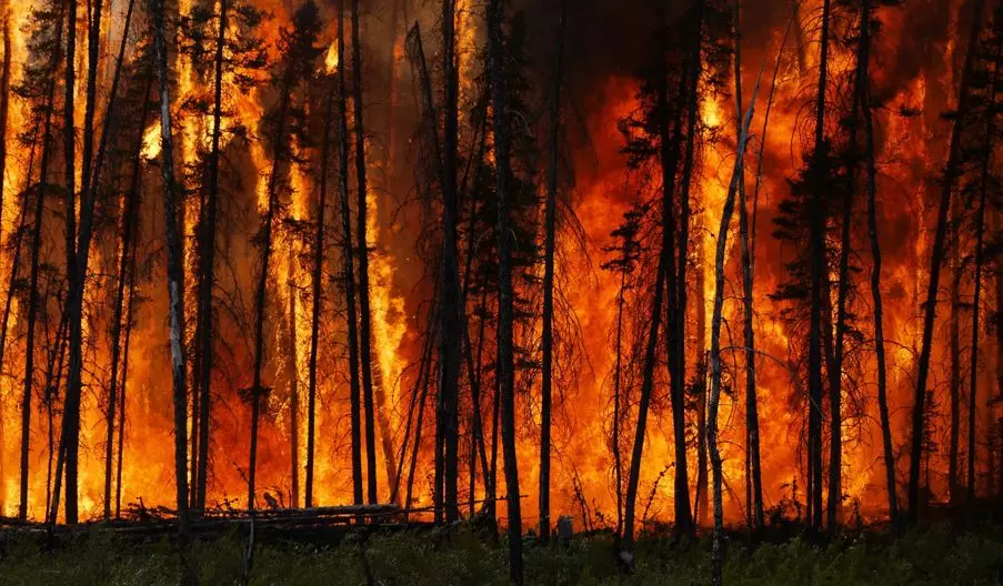 Pożar lasu borealnego w Kanadzie