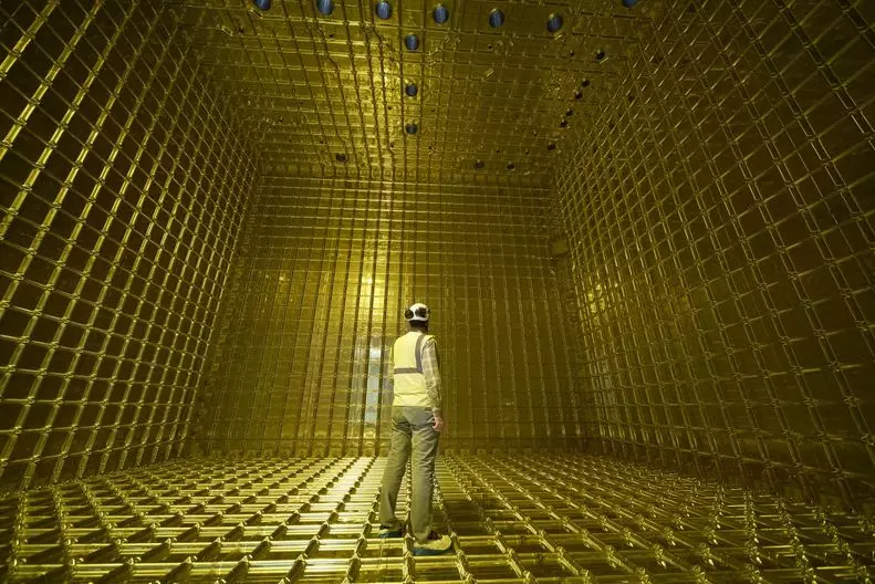 Detector de neutrinos ProtoDUNE