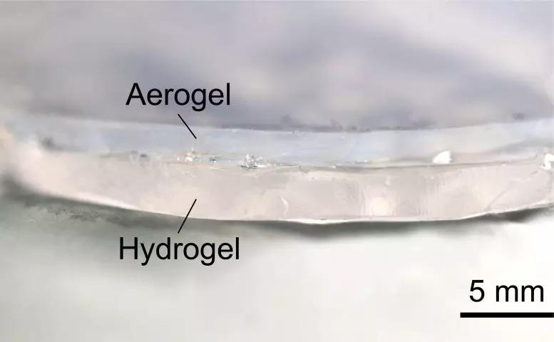 Hydrogel-Airgel ikonje Bilayer