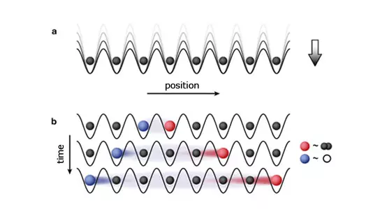 Verbreedung vu Quantekorrelatiounen an engem opteschen Gitter