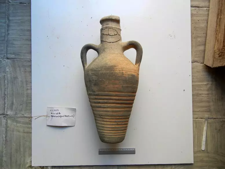 Kemiska rester av druvor i medeltida behållare tips om blomstrande vinhandel på islamiska Sicilien 15607_1