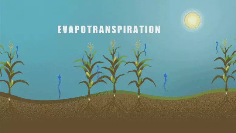 OpenET : Transformer la gestion de l'eau dans l'ouest des États-Unis avec les données de la NASA 15812_2