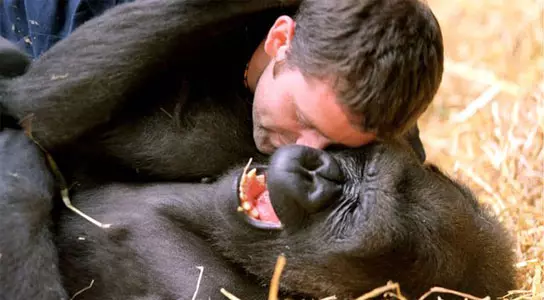 Os animais fazem cócegas em nome da ciência