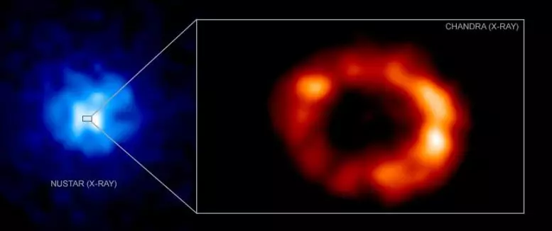 Supernova SN 1987A