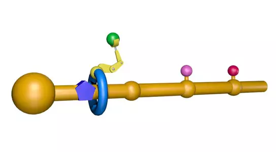 Déanann Róbait Mhóilíneach aithris ar an Ribosome