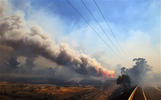 オーストラリアのタスマニア州ダナリーにある燃えている土地から濃い煙が立ち上る。クレジット：Richard Jupe / Newspix / Rex Features