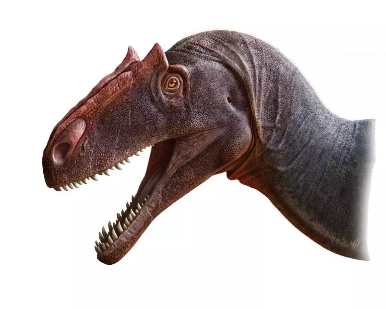 Allosaurus jimmadseni ilustrācija