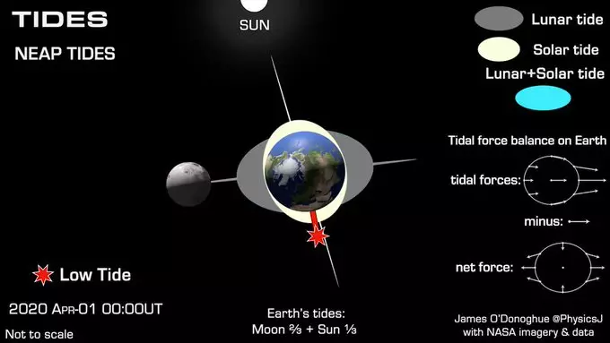 Esta superlua rosa tem uma reviravolta - espere inundações, mas um ciclo lunar está mascarando os efeitos do aumento do nível do mar 16431_4