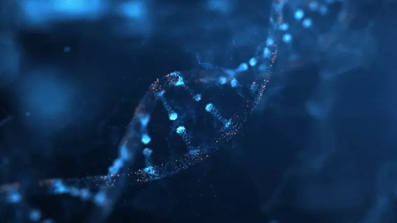 مفهوم رمز و راز DNA