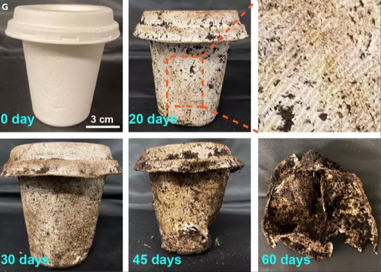 Biodegradable khob Decomposition