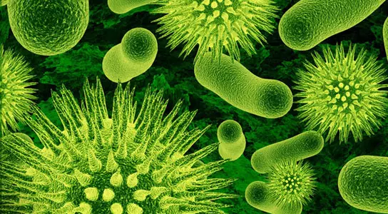 NDM-1 Super Bacteria desí lekársku komunitu v Indii