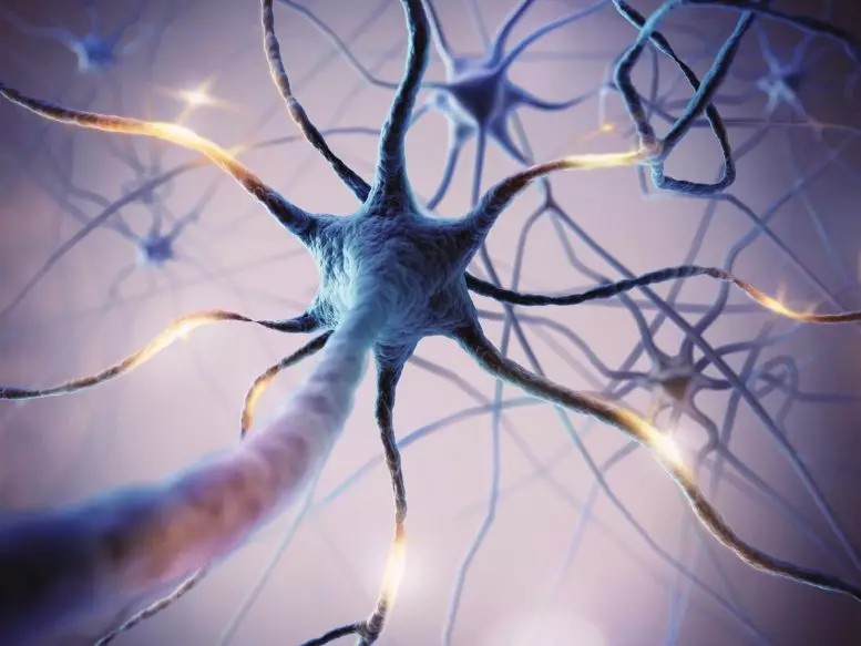 Neuron ilustrace