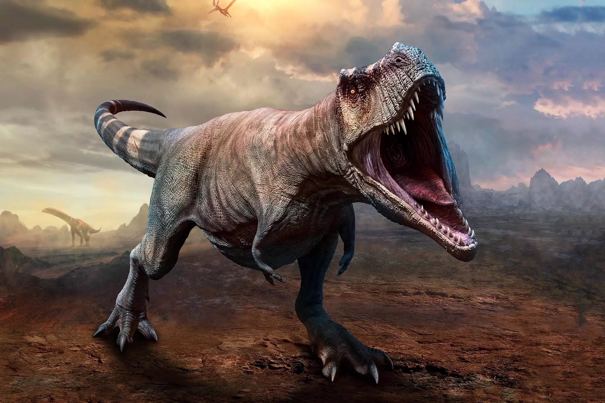 Zagadka Tyrannosaurus rex rozwiązana: jak dinozaury dostarczyły miażdżących kości ugryzień