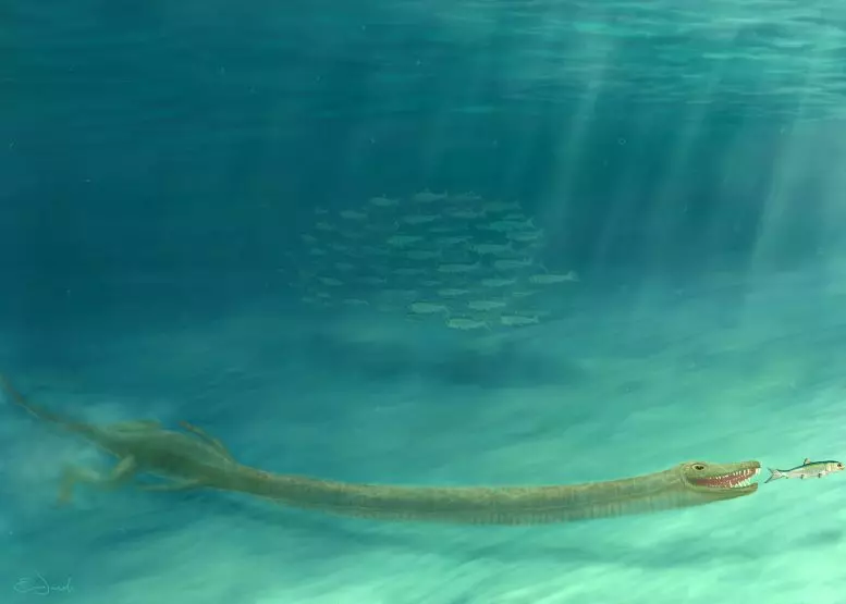 Tanystropheus Visualization