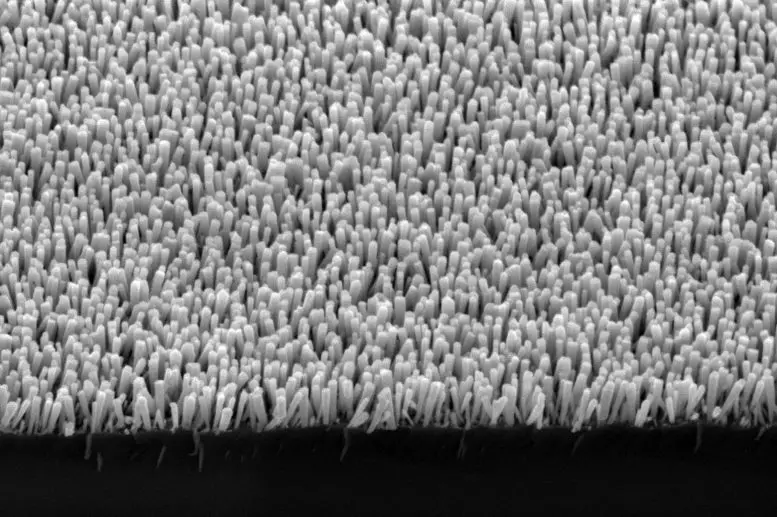 Nanowires lled-ddargludyddion