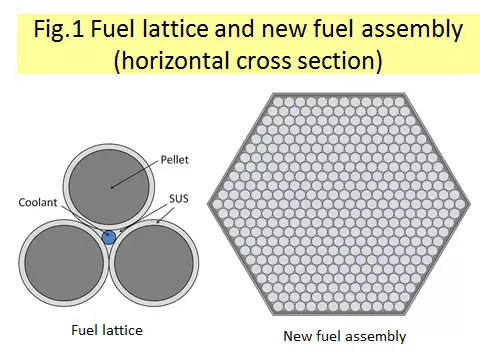 Diseño conceptual de un reactor nuclear con alto contenido de plutonio mediante refrigeración por agua ligera 1720_1