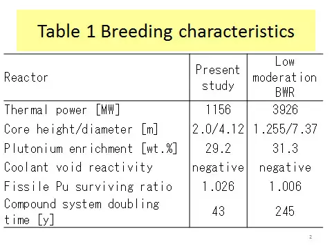 Koncepcinis branduolinio reaktoriaus projektas, skirtas daug plutonio dauginti aušinant lengvu vandeniu 1720_2