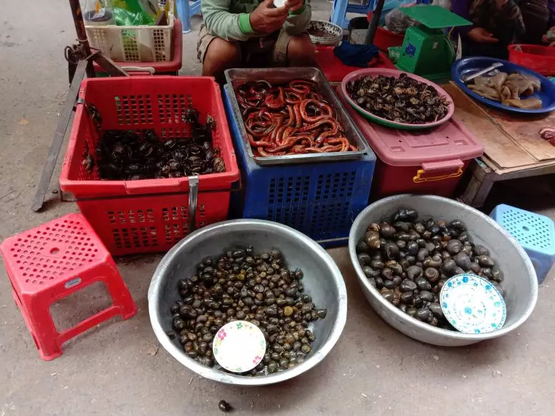 Pasar Hidupan Liar Kemboja