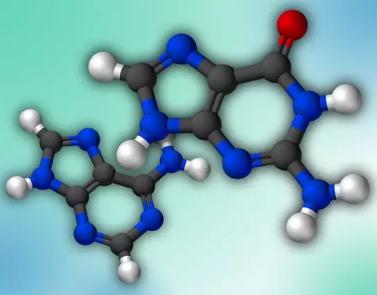molekula strukturo de guanino kaj adenino