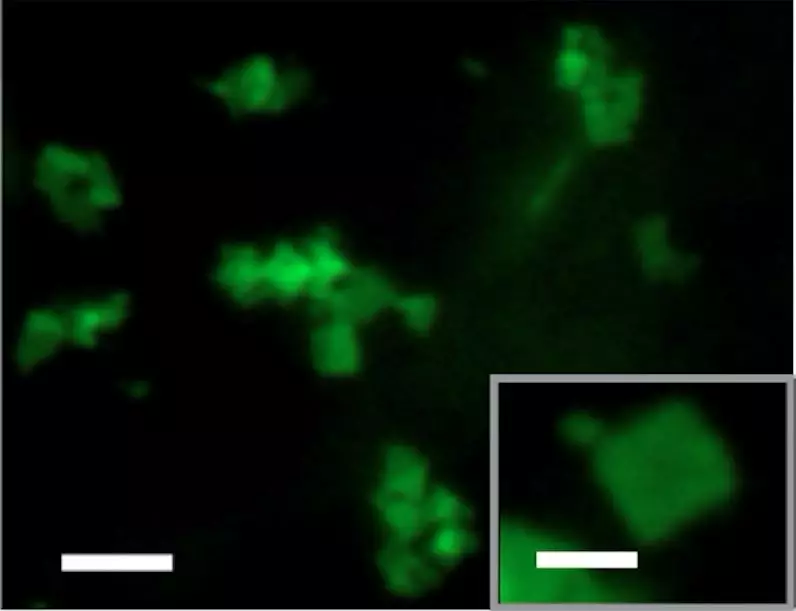 Chemists Tsim Shape-Shifting Nanomaterial Nrog Intriguing Biomedical Potential