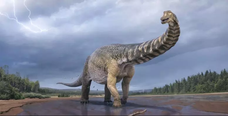 Australian suurin dinosaurus – Etelätitaani – on juuri pudonnut ennätyskirjaan! 17715_1