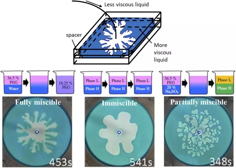 Topologiese verandering viskose vingerpatroon