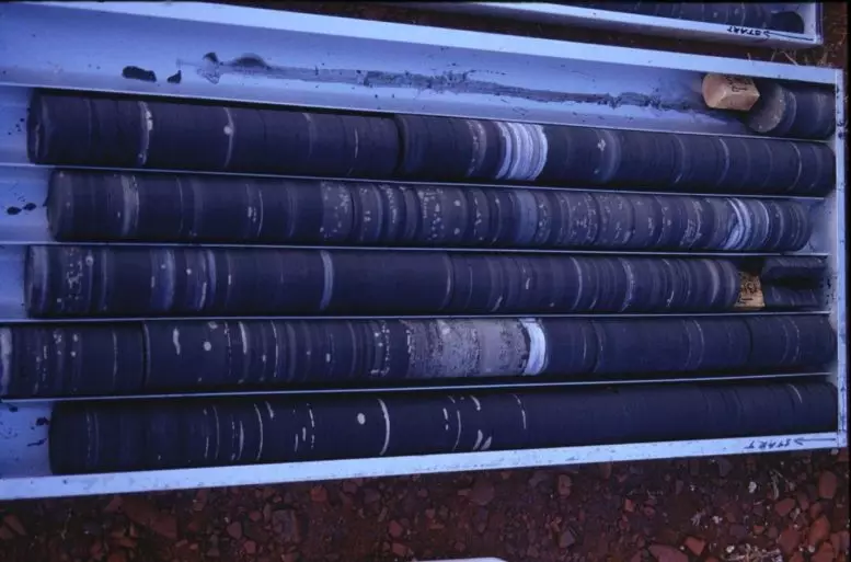 I-Mount McRae Shale Rock Cores