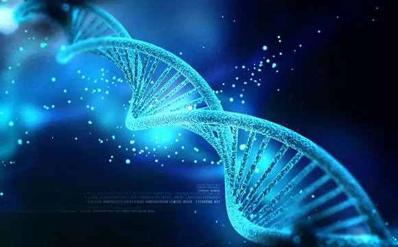 Algoritmul epigenetic prezice cu acuratețe orientarea sexuală masculină