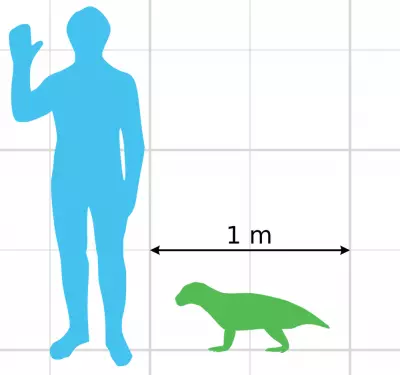 Malgranda Krokodilo Simosuchus