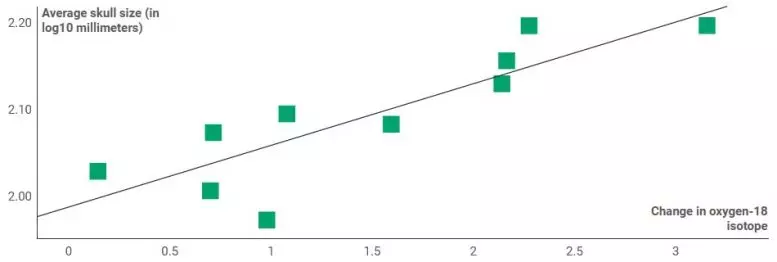 Fosilia Kranio Grandeco Oksigeno-18 Diagramo