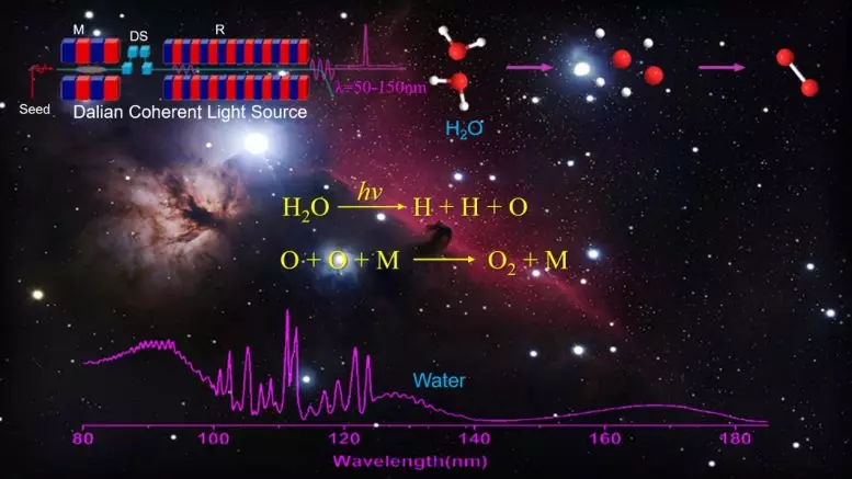 Dalian Coherent Umucyo Inkomoko Yerekana Umubiri Utatu Photodissociation