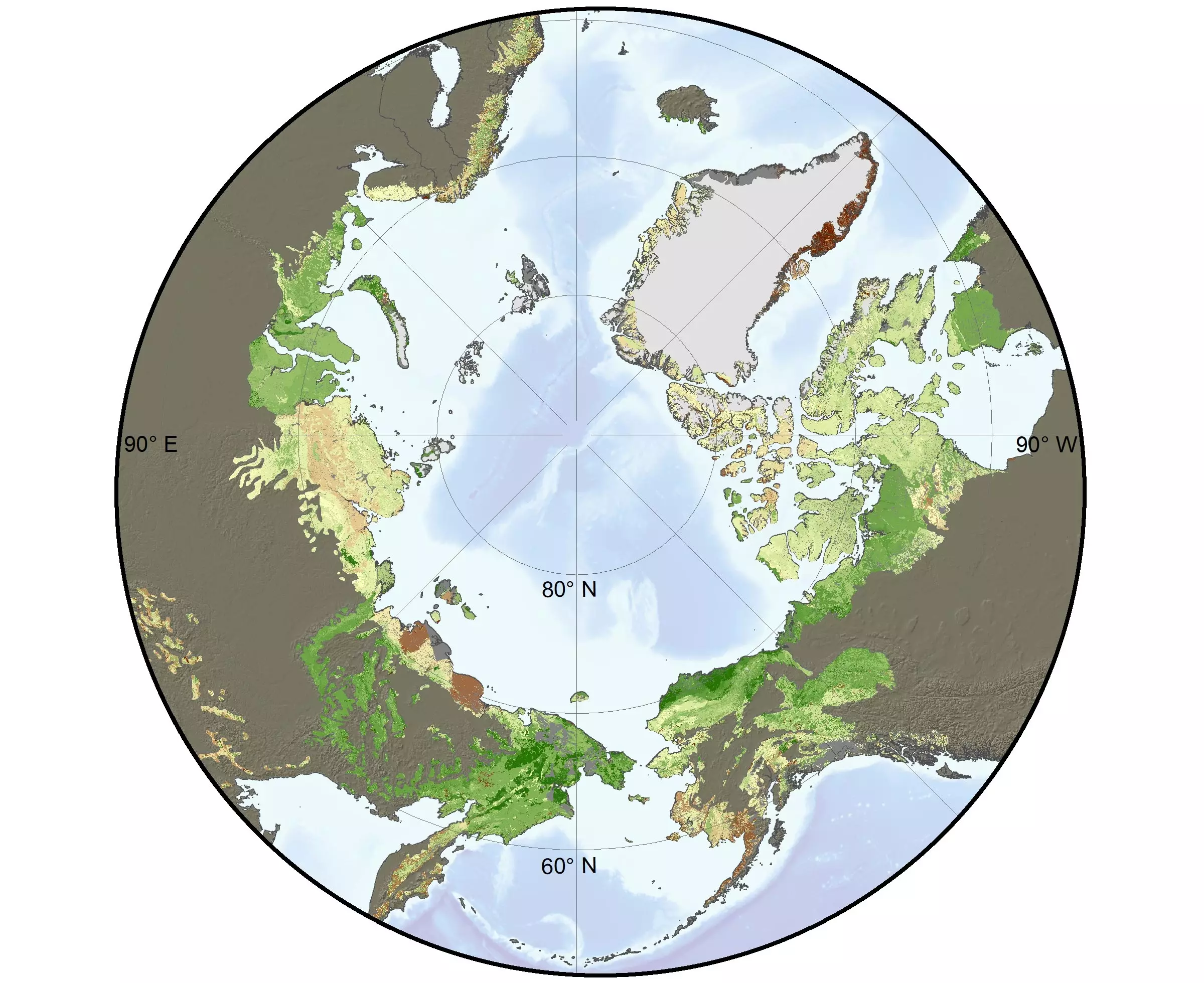 Rychlé ozelenění napříč arktickou tundrou Studováno prostřednictvím satelitů NASA – „Opravdu zvonek globálních klimatických změn“