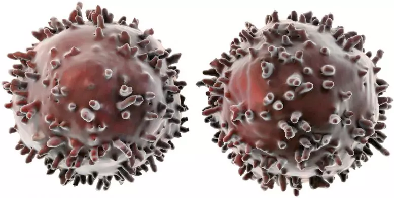 Pag-render sa mga Immune Cell