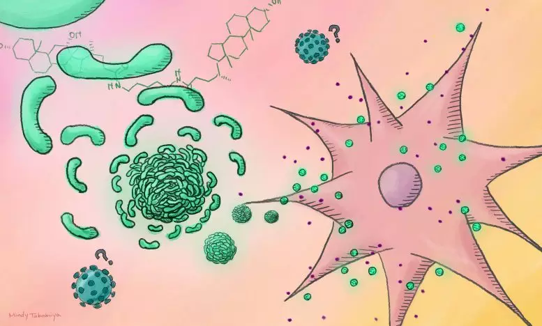 Molekül Impfstoff Adjuvant