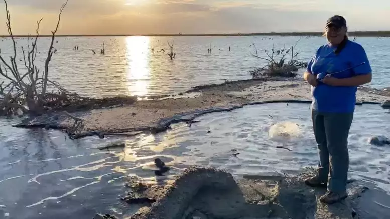 艾米湯森非活動油井