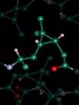 Monomeresch Eenheet vu Poly-3S-Caranamid