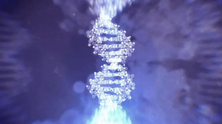 Konsepto ng Paglilipat ng DNA
