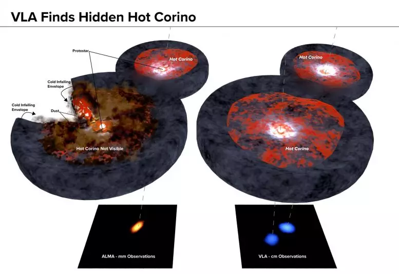 VLA Finds Hidden Hot Corino